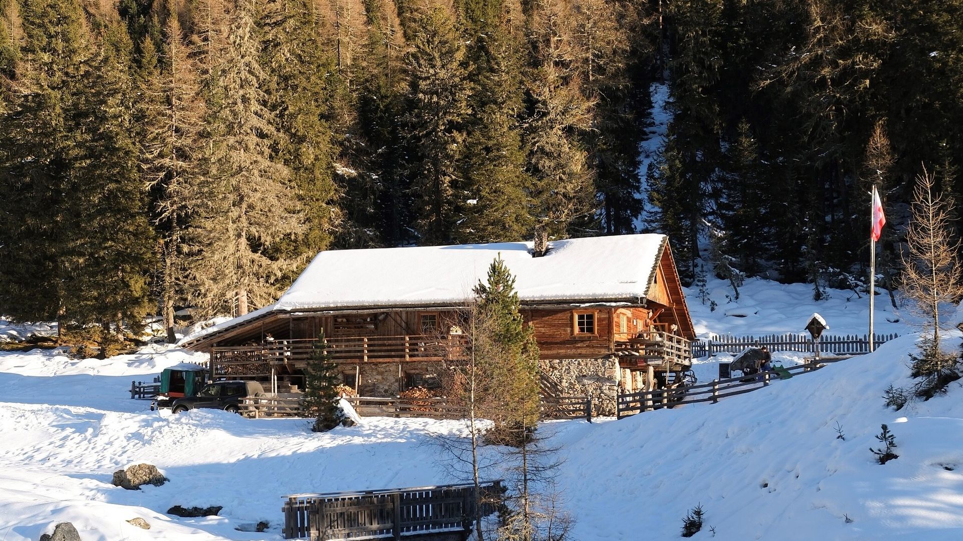 Walk to Lercher Alm: Nature and Relaxation